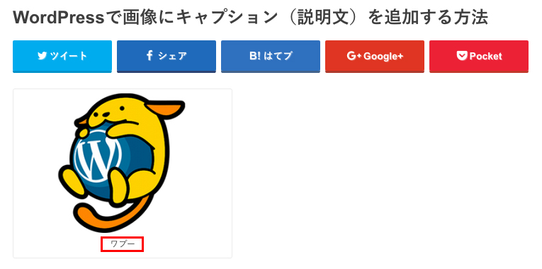 WordPressで画像にキャプション（説明文）を追加する方法 - FOXWP